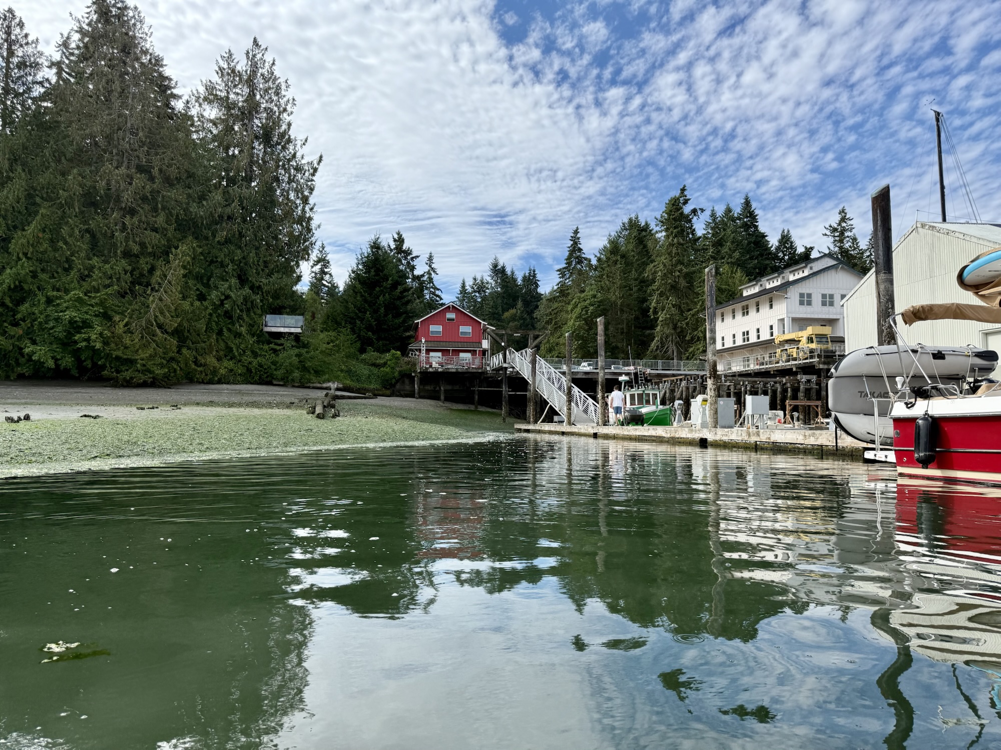 Eagle Harbor & Blake Island – Touch of Gray AT362