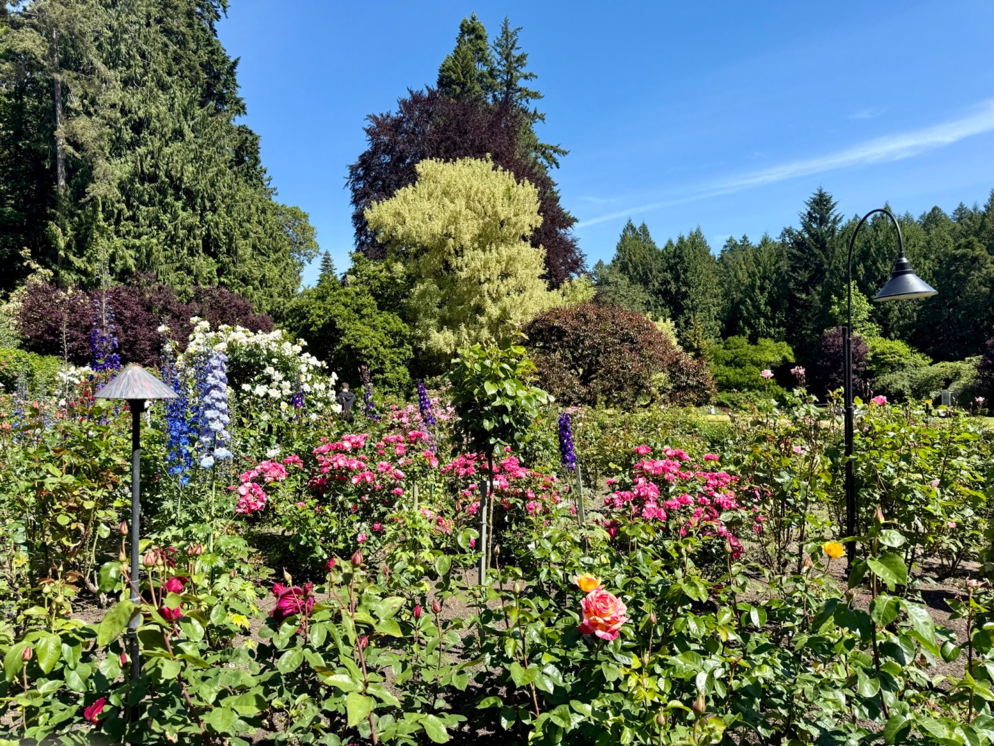 Ganges | Sidney | Tod Inlet – Touch of Gray & The Motterhome